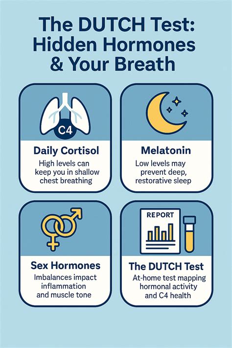C4 Cervical 4 — The Diaphragm Driver How Chiropractic Care In