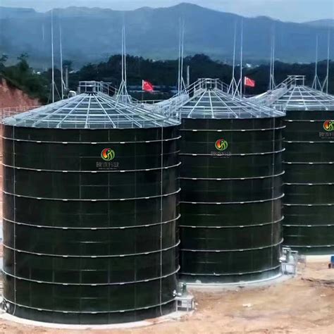 5000 M3 Cstr Anaerobic Digester For Pig Farming Efficiency