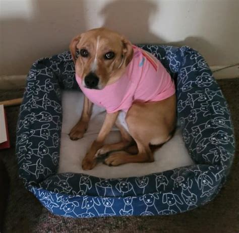 Miss Fiona Shes Really Smiling On The Inside R Blackladies