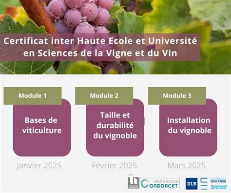 Viticulture Vignoble Formation Vin Belgique