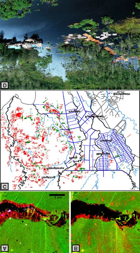 The Detection Of Logging Operation A Logging Railways Appear Bright Download Scientific