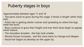 Presentation 1 Pptx Further Sexual Development Occurs Puberty Pptx