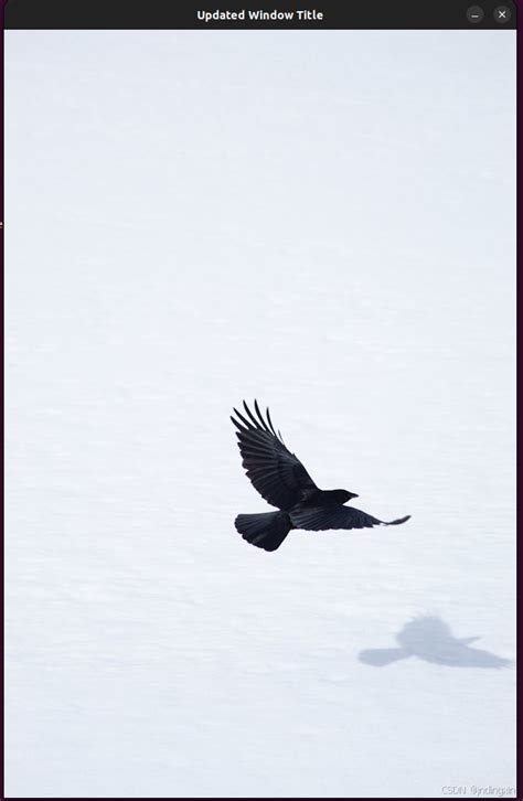 Opencv高级图形用户界面20更改窗口的标题函数setwindowtitle的使用 技术栈