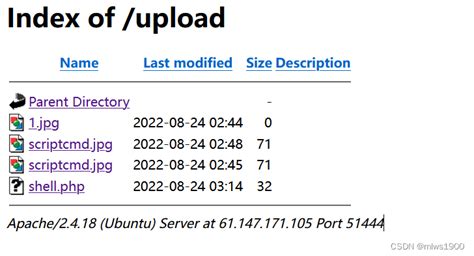 攻防世界 Web Wzsc文件上传攻防世界wzsc Csdn博客