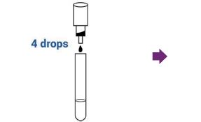 Rapid Check RSV Antigen Test
