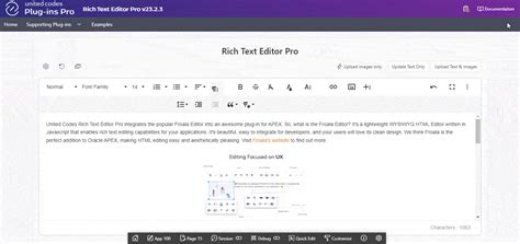 Paragraphs Rich Text Editor Pro For Oracle Apex