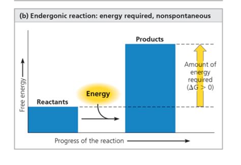 Exam 4 Flashcards Quizlet Exam 4 Flashcards Quizlet