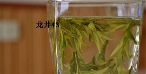 龍井群體種和龍井43的區別你都不知道你還好意思說了解龍井茶 每日頭條