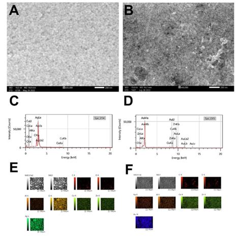 Scanning Electron Microscopy Micrographs Ab And Energy Diffraction