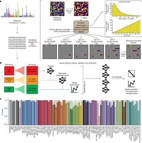 Ultra Fast Deep Learned Cns Tumour Classification During Surgery Lifeboat News The Blog