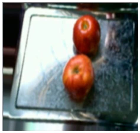 Processes Free Full Text Research On The Real Time Detection Of Red Fruit Based On The You
