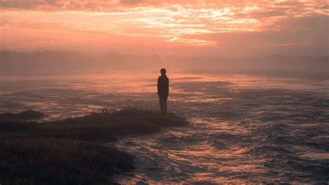 🌿 Quiet Step The Art Of Stillness In A Noisy World By Adrian Cole The Quiet Step Medium