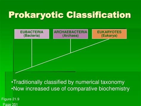 Ppt Prokaryotes And Viruses Powerpoint Presentation Free Download Id392109