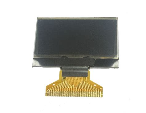 Display Korg Syntaur