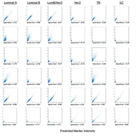 A Sample Of A Few Of The Lowest Scoring And Highest Scoring Makers Were
