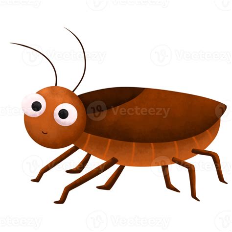 Cockroach Cute Watercolor Insect 45763560 Png
