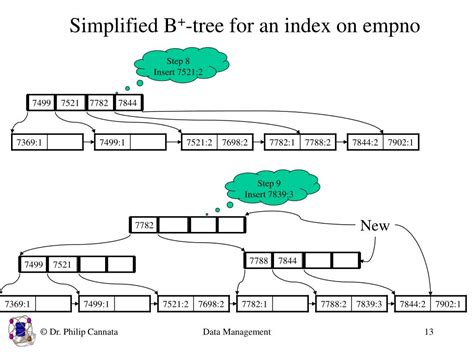 Ppt B Tree Indexing Powerpoint Presentation Free Download Id5928645