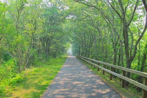 10 Of The Top Cycling And Bike Paths In The United States Not To Miss