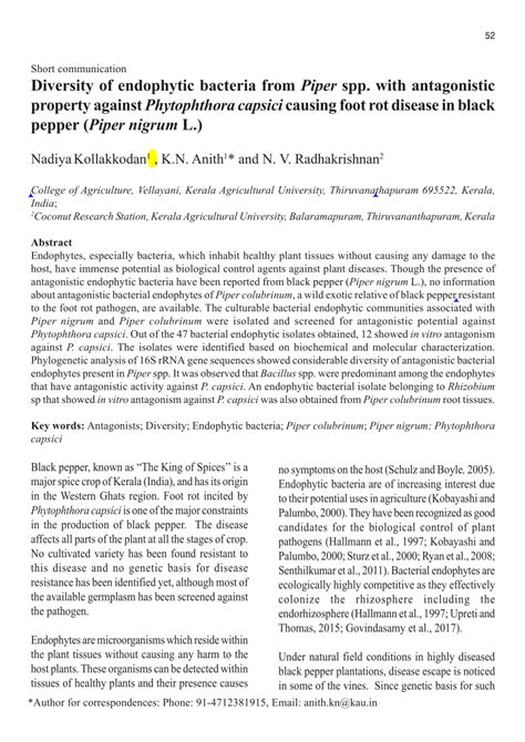 Pdf Diversity Of Endophytic Bacteria From Piper Spp With Antagonistic Property Against