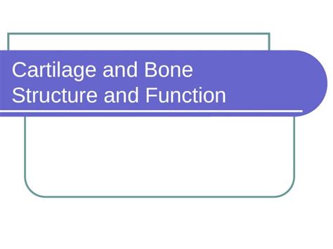 Ppt Cartilage And Bone Structure And Function Bones Dokumen Tips