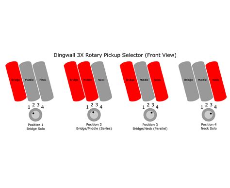 Dingwall Bass Guitar Ng3 4 String Dw Free Shipping Bass Gear Direct