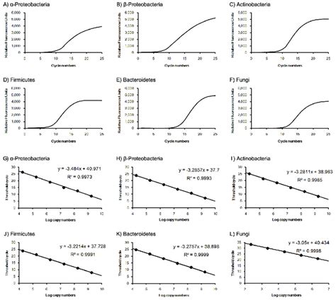 Qrt Pcr Amplification Curve And Quantifying Standard Curves For Each