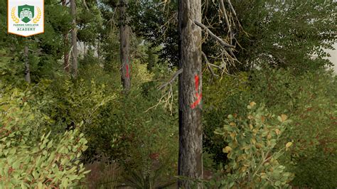 News Farming Simulator