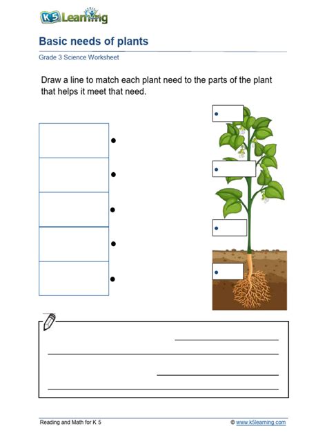 Grade 3 Basic Needs A Pdf
