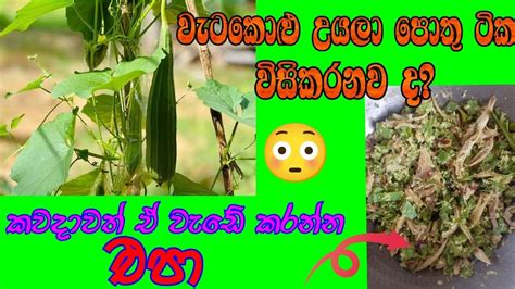 වැටකොළු පොතු විසිකරනවද එහෙනම් මේ Video එක බලන්න Cooking Food Srilankancooking Youtube