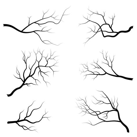 Tree Branch Set Tree Branch Art Tree Drawing Tree Branch Tattoo