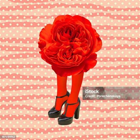 현대 디지털 콜라주 예술 복고풍 레이디 레드 플라워 여성의 힘 공동체 페미니즘 엽서 8 행진 개념 0명에 대한 스톡 사진 및 기타 이미지 Istock