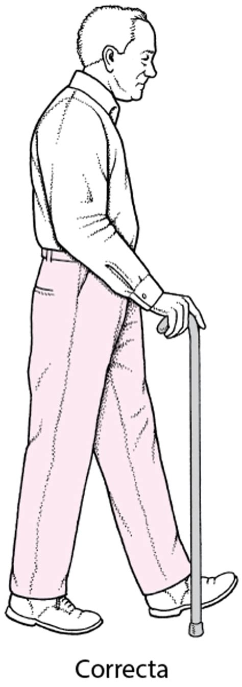 Image Altura Correcta Del Bastón Manual Msd Versión Para Profesionales