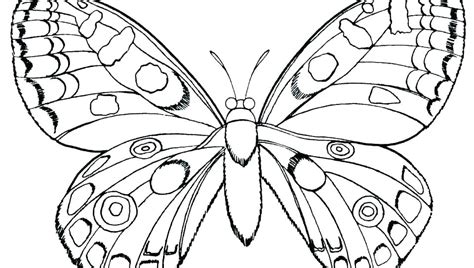 Hard Butterfly Coloring Pages At Free Printable