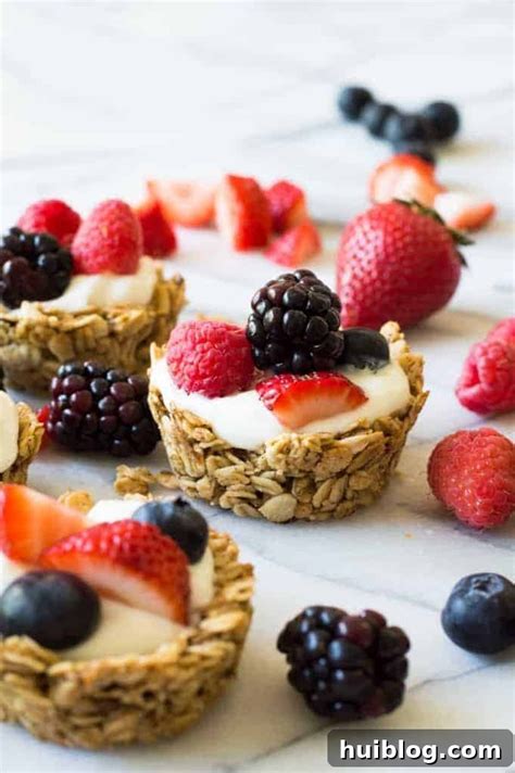 Homemade Fruit Yogurt Granola Cups Video Tutorial Huiblog