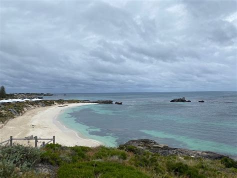 줌줌 후기 퍼스 또는 프리맨틀 출발 로트네스트 섬 페리 왕복 티켓 선