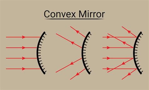 Premium Vector Convex Mirror Ray Diagram
