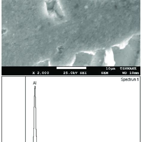 Effect Of Reinforcement On Specific Wear Rate Download Scientific Diagram
