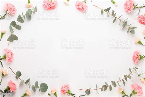 꽃과 유칼립투스 조성물 흰색 배경에 다양한 다채로운 꽃으로 만든 패턴 플랫 누워 스티일 생활 0명에 대한 스톡 사진 및 기타 이미지 Istock