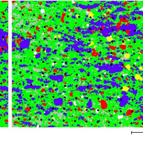 Indentation Grid Pattern Superimposed On The Multispectral Image