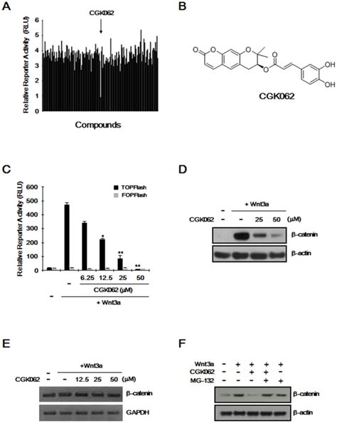 A Screening Of Compounds That Inhibit The Wntβ Catenin Pathway