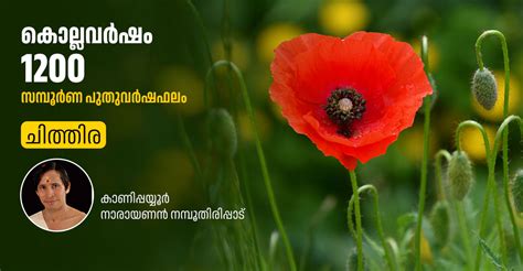 ചിത്തിര നക്ഷത്രക്കാർക്ക് ഈ വർഷം എങ്ങനെ സമ്പൂർണ മലയാള പുതുവർഷഫലം