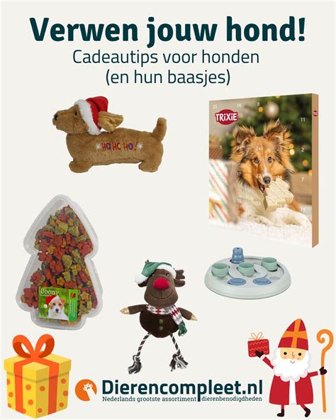 🐾 Op Dierenspeciaalzaak And Kooi En Kennelbouw Van Nunen Facebook