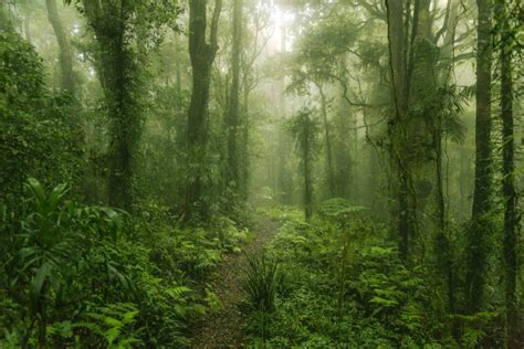 Tim Rosenfield On Linkedin Netzero2050