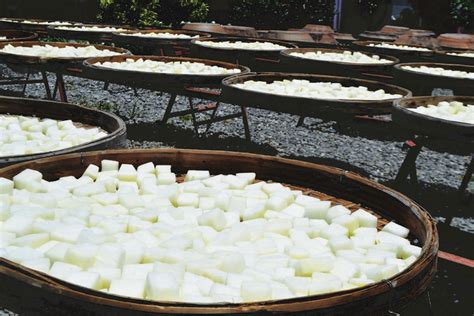 台湾休闲农场 返璞归真 寻找久违闲适与宁静（下） Apple 101°