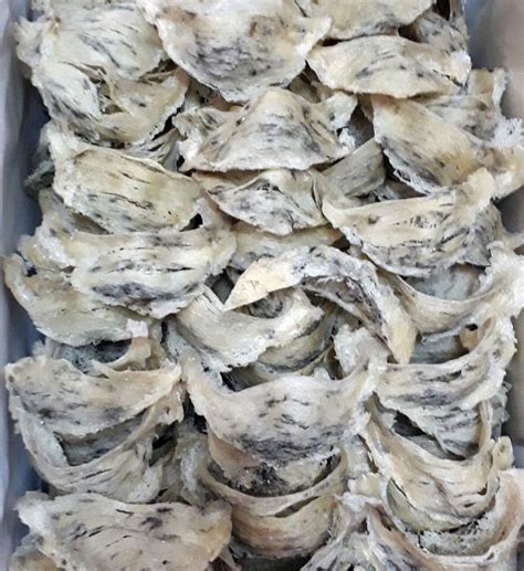 Raw Bird Nest Easy2clean Economical Grade Lazada