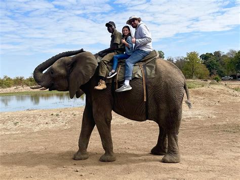 The Elephant And Cheetah Experience Victoria Falls All You Need To
