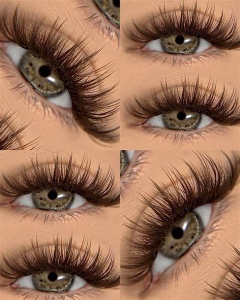 Brigitte • Educator • E Books • Lashes On Instagram Brown Is The New