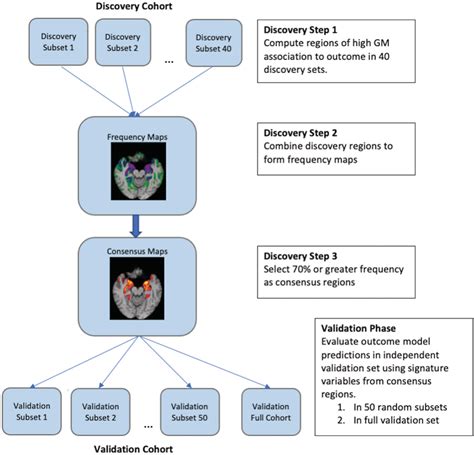 Detail Of Discovery And Validation Steps Breakdown Of Analyses Across