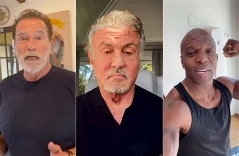 Youtube Ads With Deepfaked Arnold Schwarzenegger Sylvester Stallone Mike Tyson And Terry