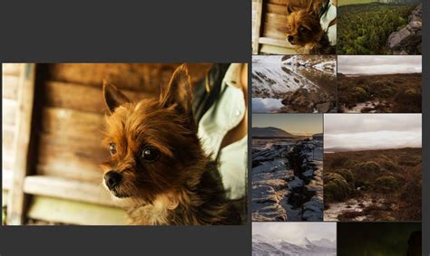 Bootstrap Photo Gallery Code Examples OnAirCode